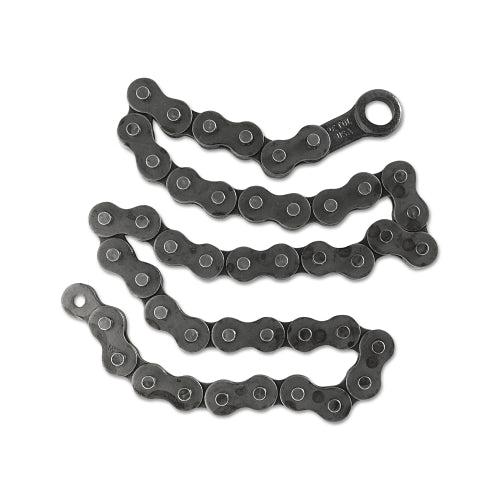 Petol Special Chain With Master Link, 39 In - 1 per EA - C12244P ...
